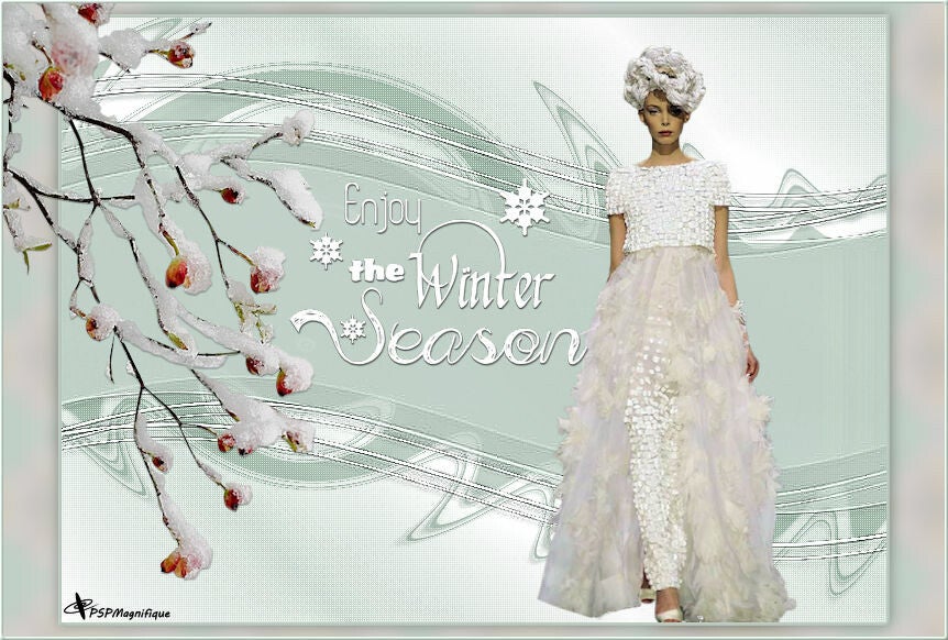 Winter / Seizoenslessen / PSP Lessen | PSPMaginifique