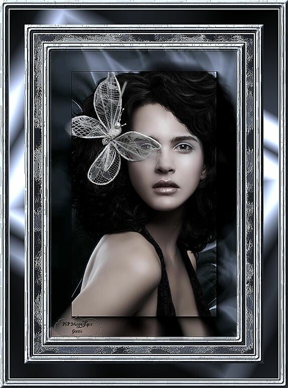 Frame / PSP Lessen | PSPMaginifique