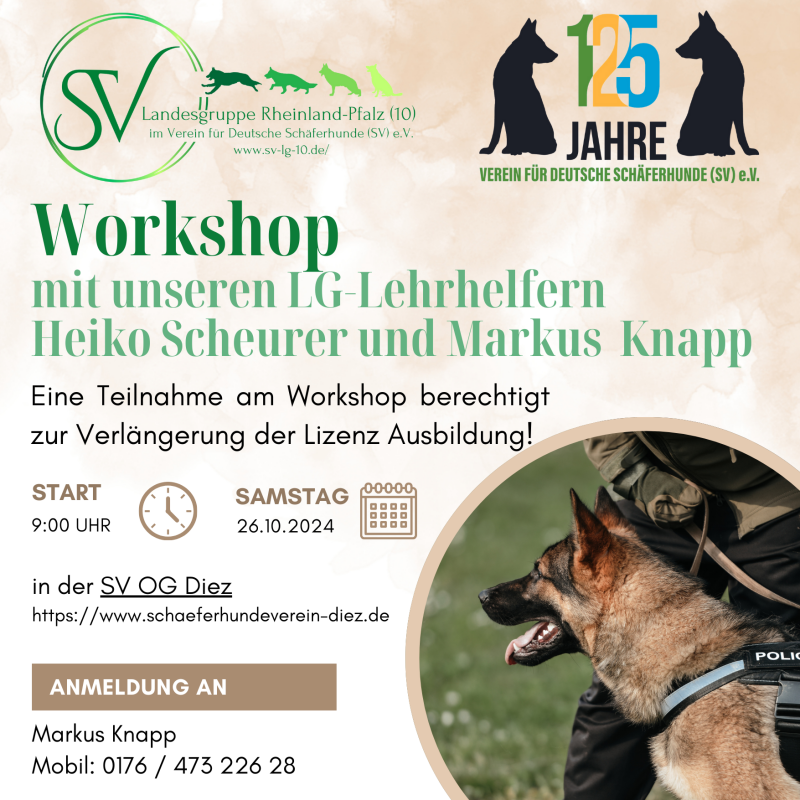 Aktuelles | SV-LG-10