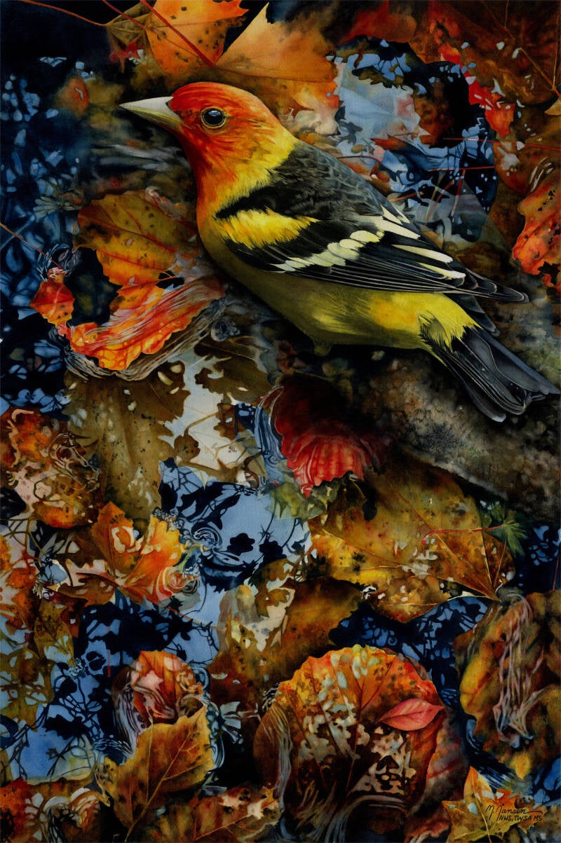 Phoenix Rising / Gallery | Mary Jansen Watercolors