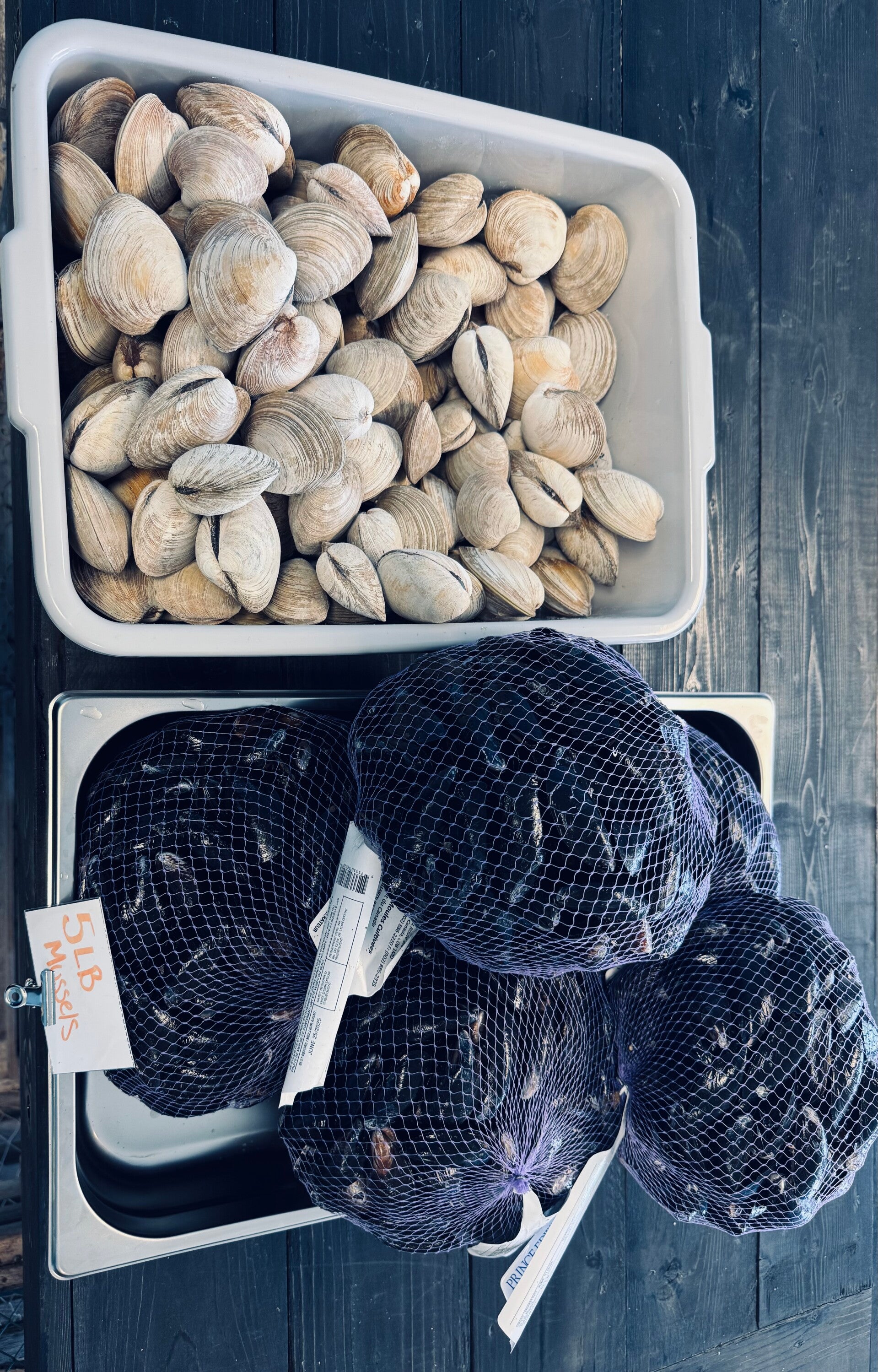 PEI Lobster and Oysters