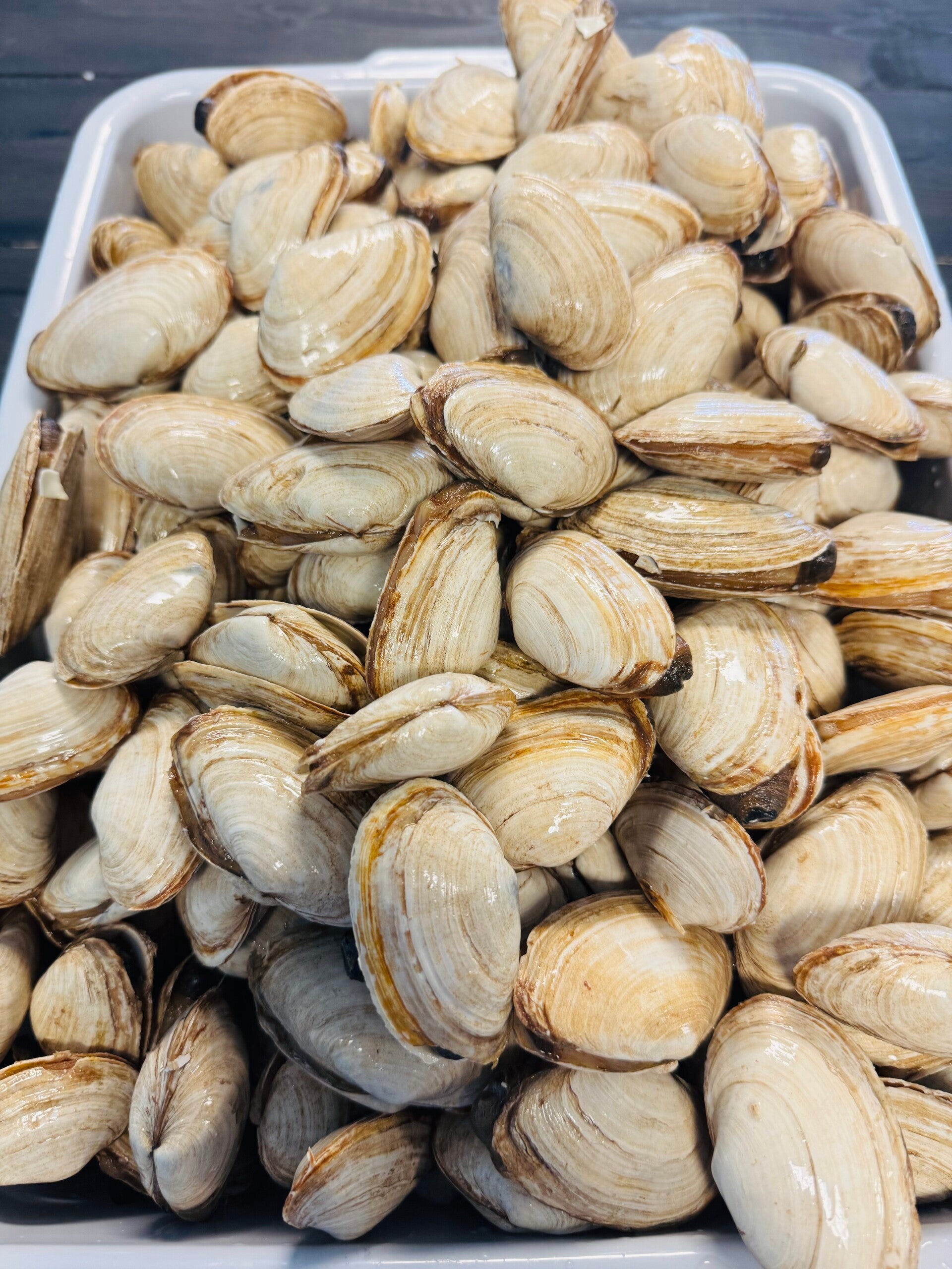 PEI Lobster and Oysters