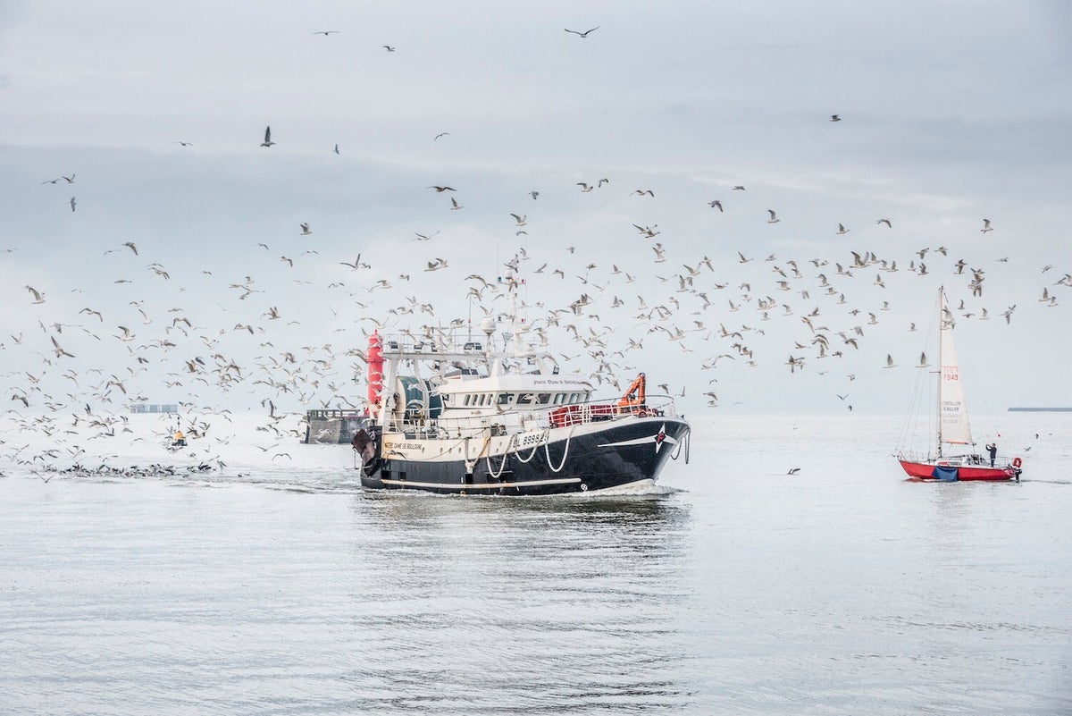 À Propos | maison familiale proche de Nausicàa