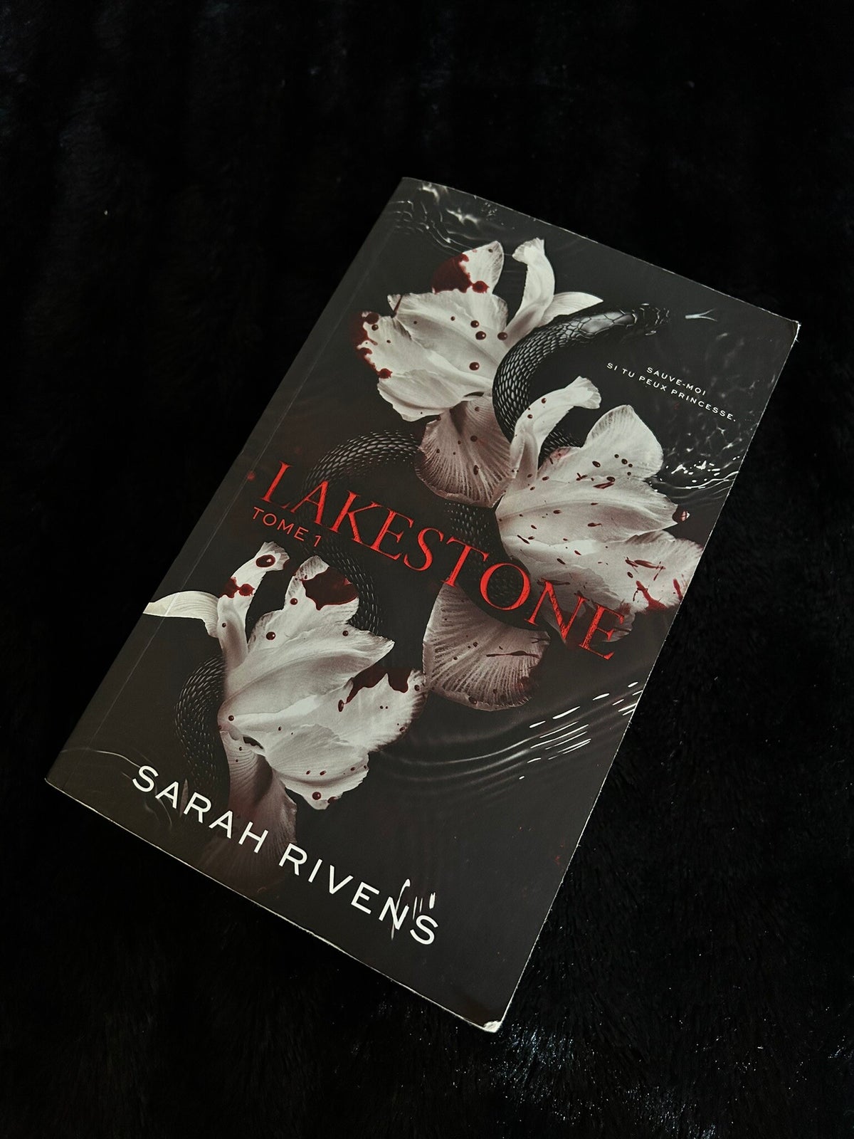 Lakestone : Tome 1 / Dark romance / Romance / Nos Revues | Léabookreview