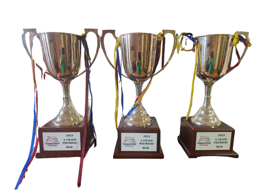 Moe Football Netball Club Inc.