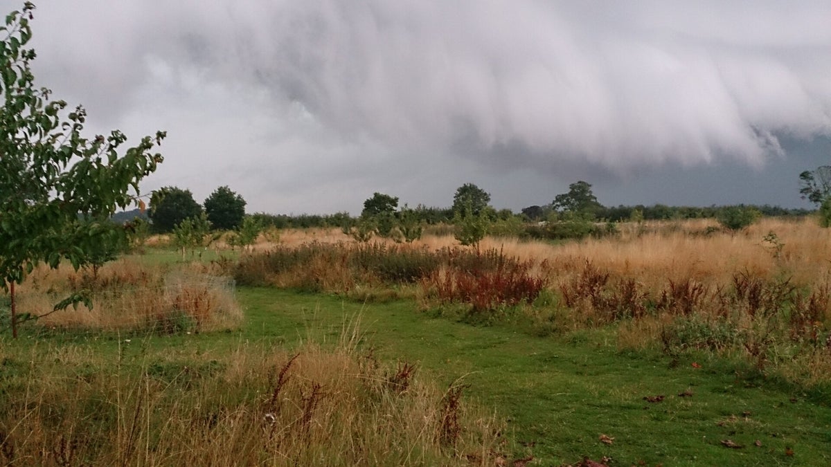Creating a Wildlife Pond | Five acres forest school Claverley Shropshire