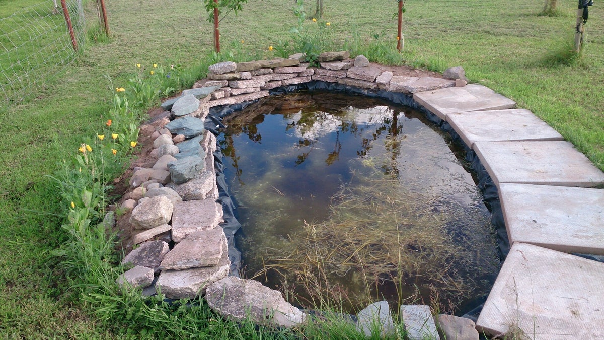 Creating a Wildlife Pond | Five acres forest school Claverley Shropshire