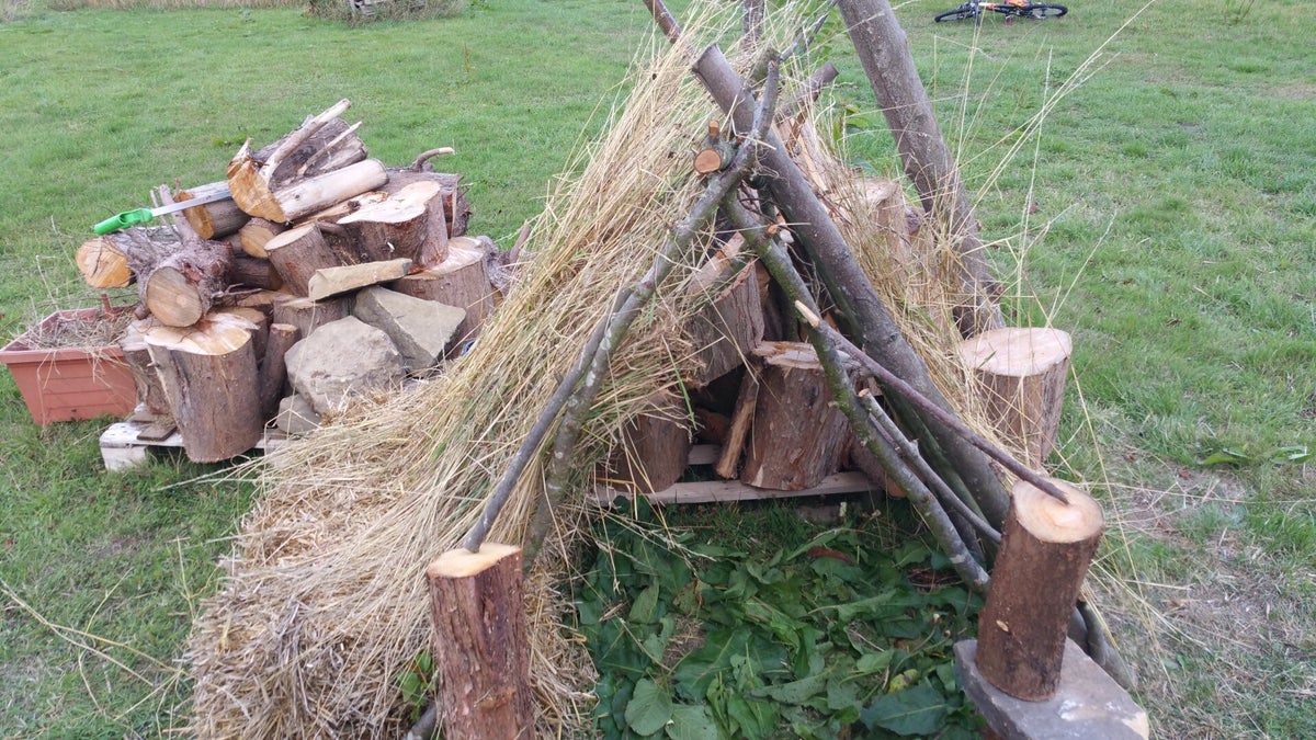 Forest school ACTIVITIES AND LEARNING | Five acres forest school ...