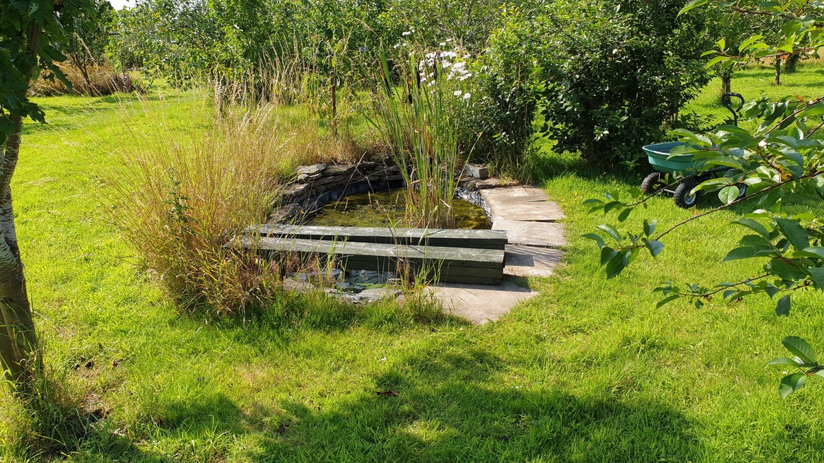 Creating a Wildlife Pond | Five acres forest school Claverley Shropshire