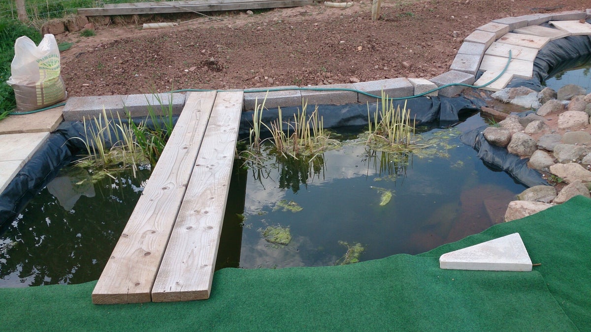 Creating a Wildlife Pond | Five acres forest school Claverley Shropshire