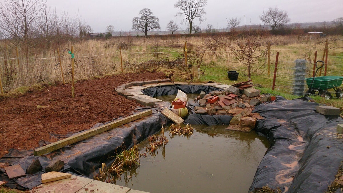 Creating a Wildlife Pond | Five acres forest school Claverley Shropshire