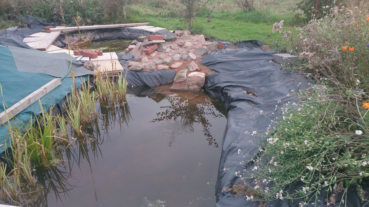 Creating a Wildlife Pond | Five acres forest school Claverley Shropshire