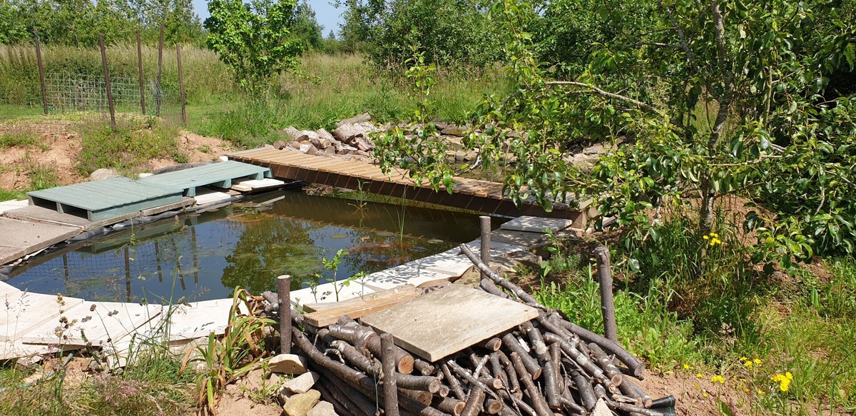 Creating a Wildlife Pond | Five acres forest school Claverley Shropshire