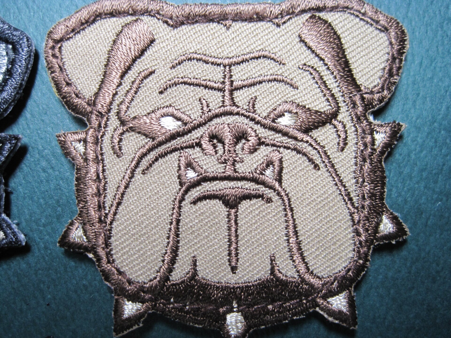 BULLDOG SPIKE COLLAR SMALL PATCH COLOR CHOICE HOOK BACK | MORALE PATCH MANIA