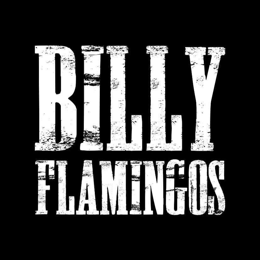 Billy Flamingos - Web Oficial