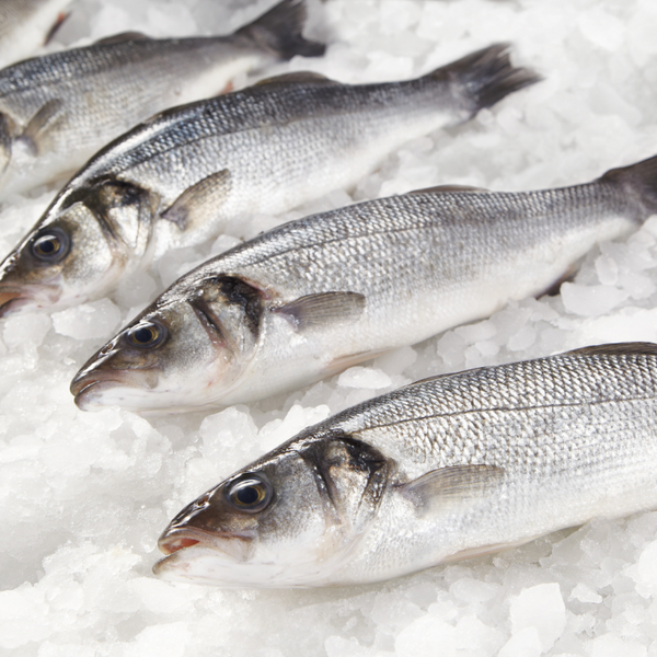 Zeebaars (wild) heel ca. 700 gram (geschubd en gestript) Prijs is ca ...