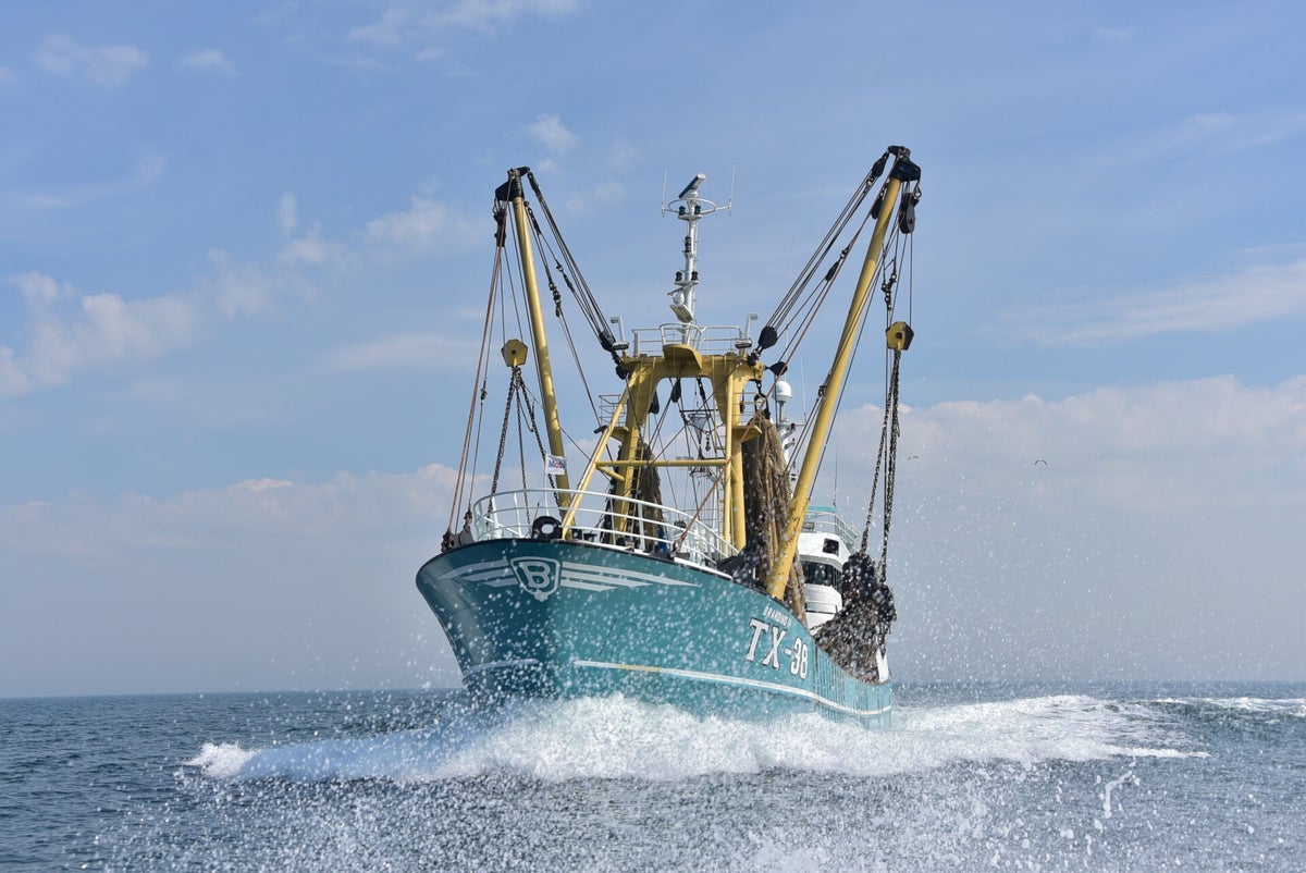 Onze vloot in de loop der jaren / Over ons | De Visloods