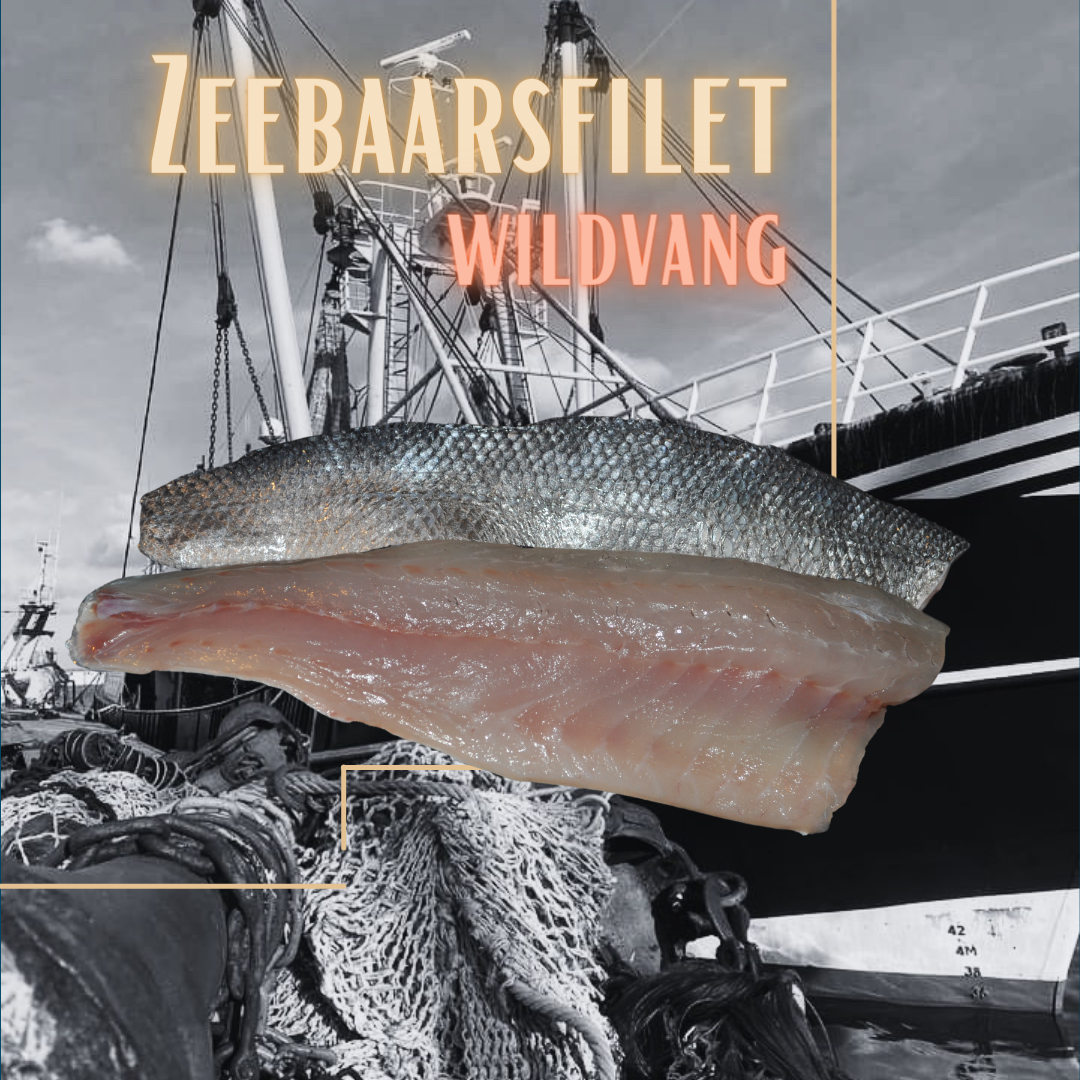Wilde zeebaarsfilet met huid | De Visloods