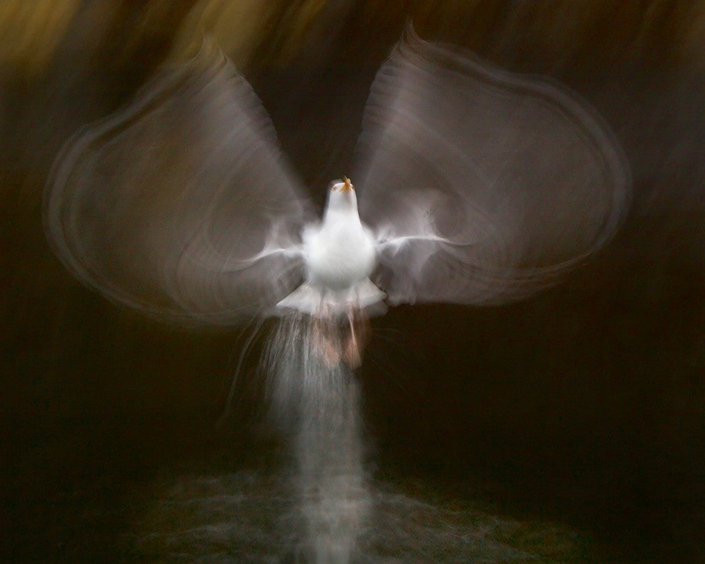 Expo Jan van der Greef / Guest photo exhibitors | Photophilia.nl