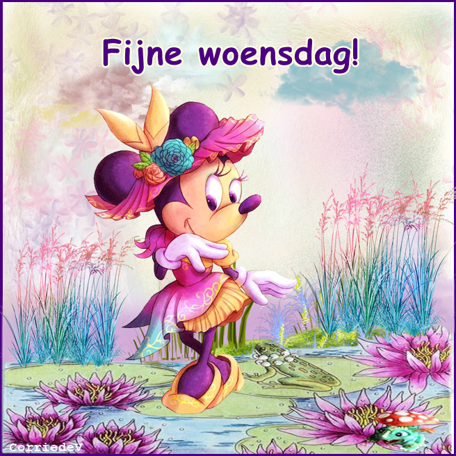 woensdag | Alle dagen van de Week
