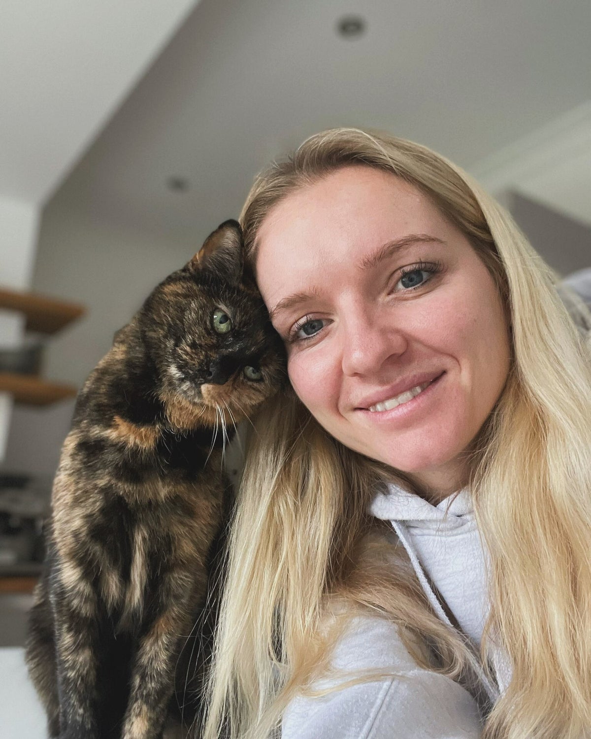 Hayley's Cat Sitting