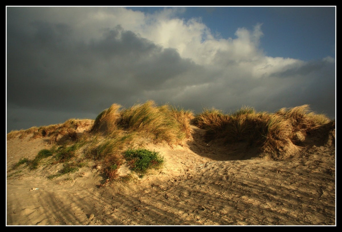 Duinlandschap | Landschappen-in-nederland
