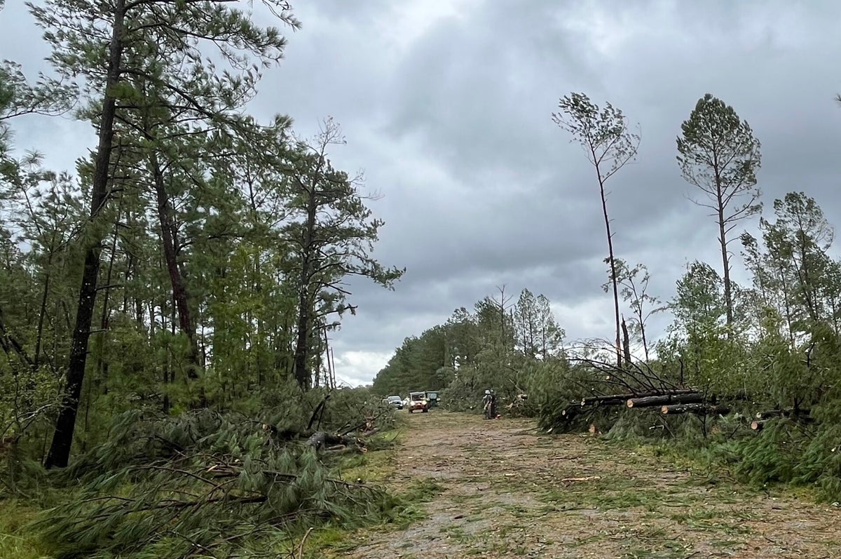 Post 30 Hurricane Helene Buddy Check / 2024 / In the News | The ...