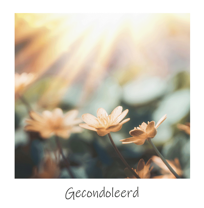 COMPASSION / CONDOLEANCE KAARTEN / WENSKAARTEN | Het Kadopaleis