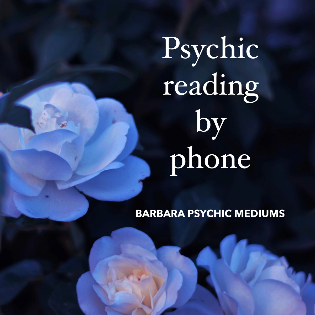 Psychic Readings With Barbara The Medium