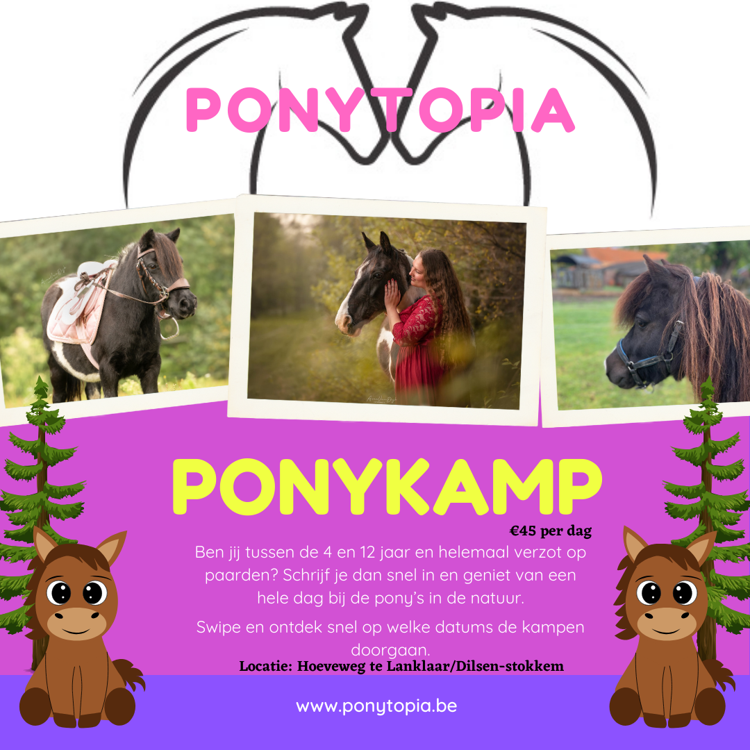 Ponytopia