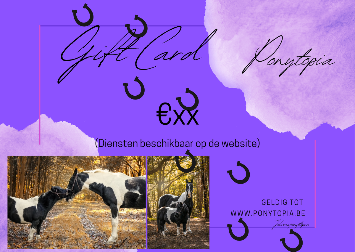 Diensten | Ponytopia