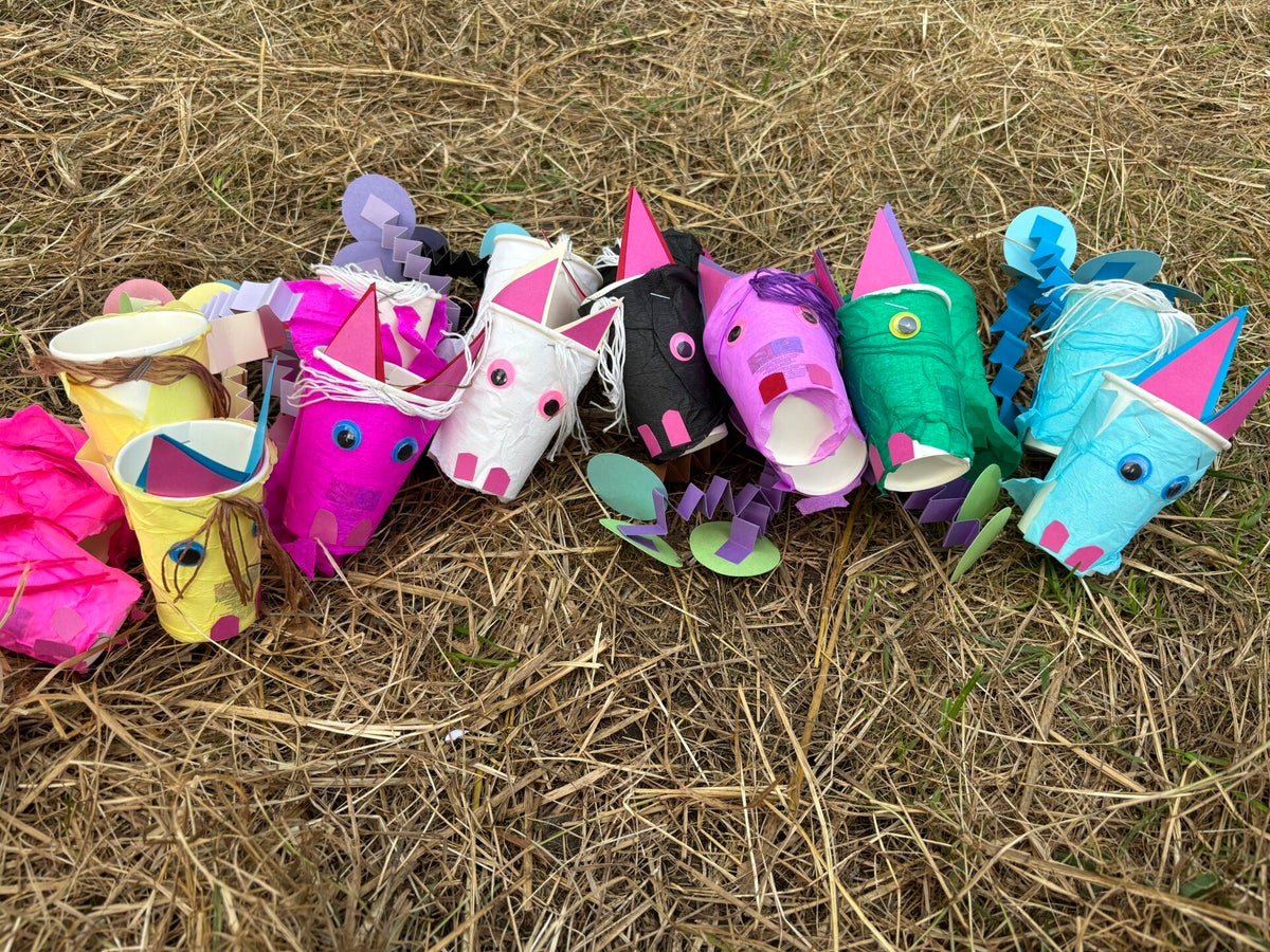 Ponykamp | Ponytopia