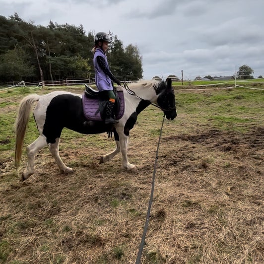 Diensten | Ponytopia