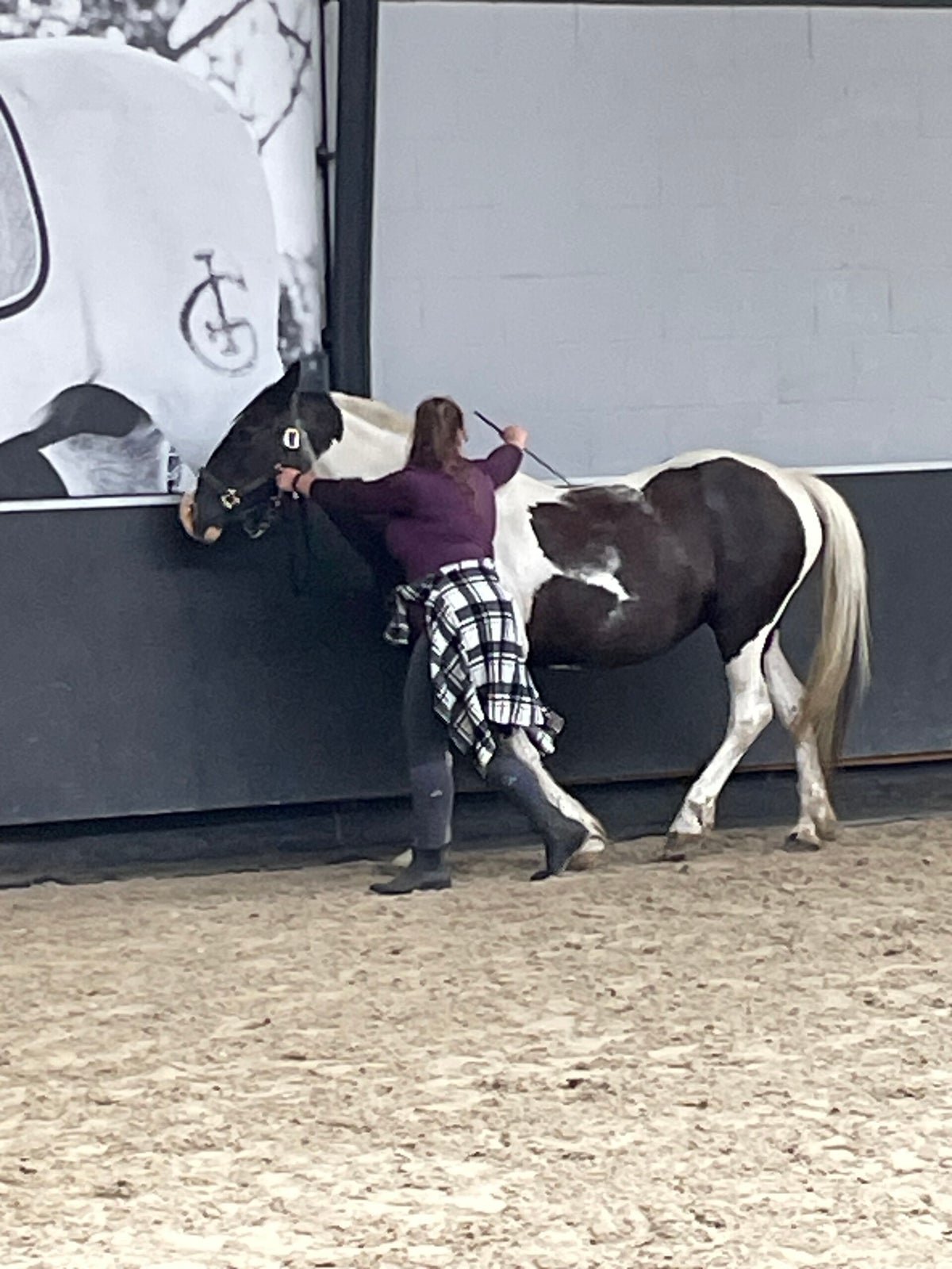 Diensten | Ponytopia