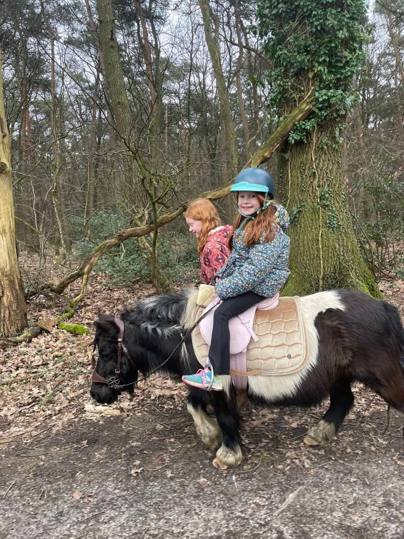 Diensten | Ponytopia