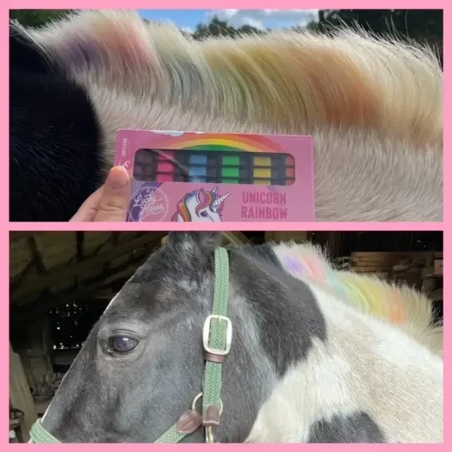Diensten | Ponytopia