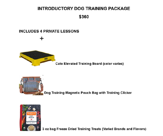 Training Package Introduction | Simon Says K9 Training