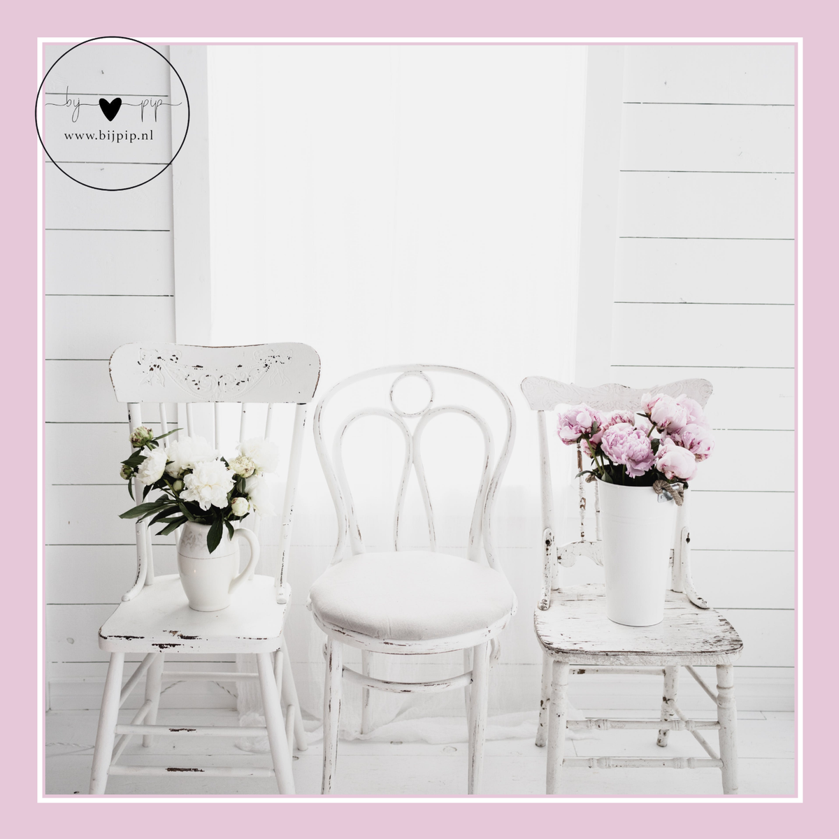 Blanco / Tekstkaarten / Wenskaarten | Bij Pip