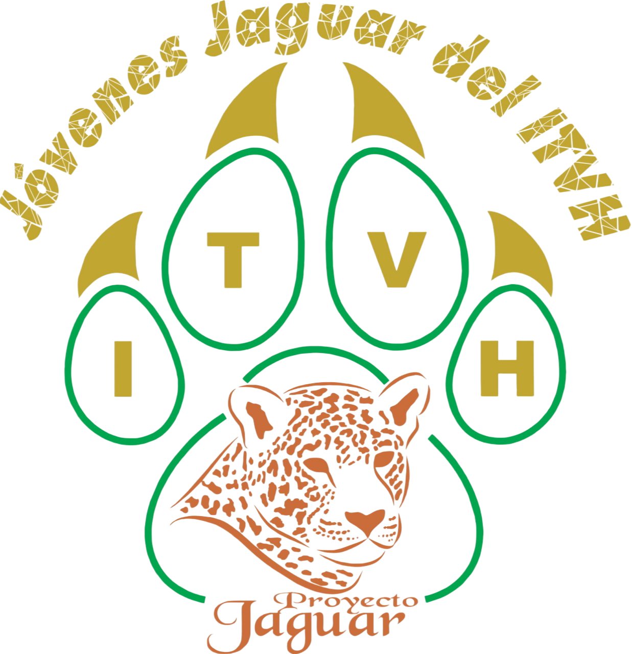 Plan de Estudio | Jóvenes Jaguar del ITVH