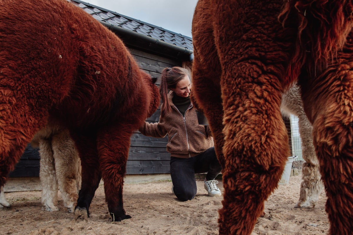 Dit zijn wij! | AlpaCasa.nl