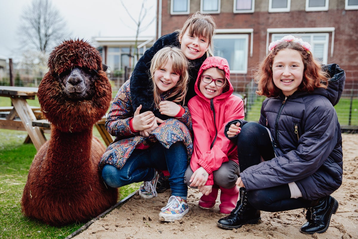 Activiteiten | AlpaCasa.nl