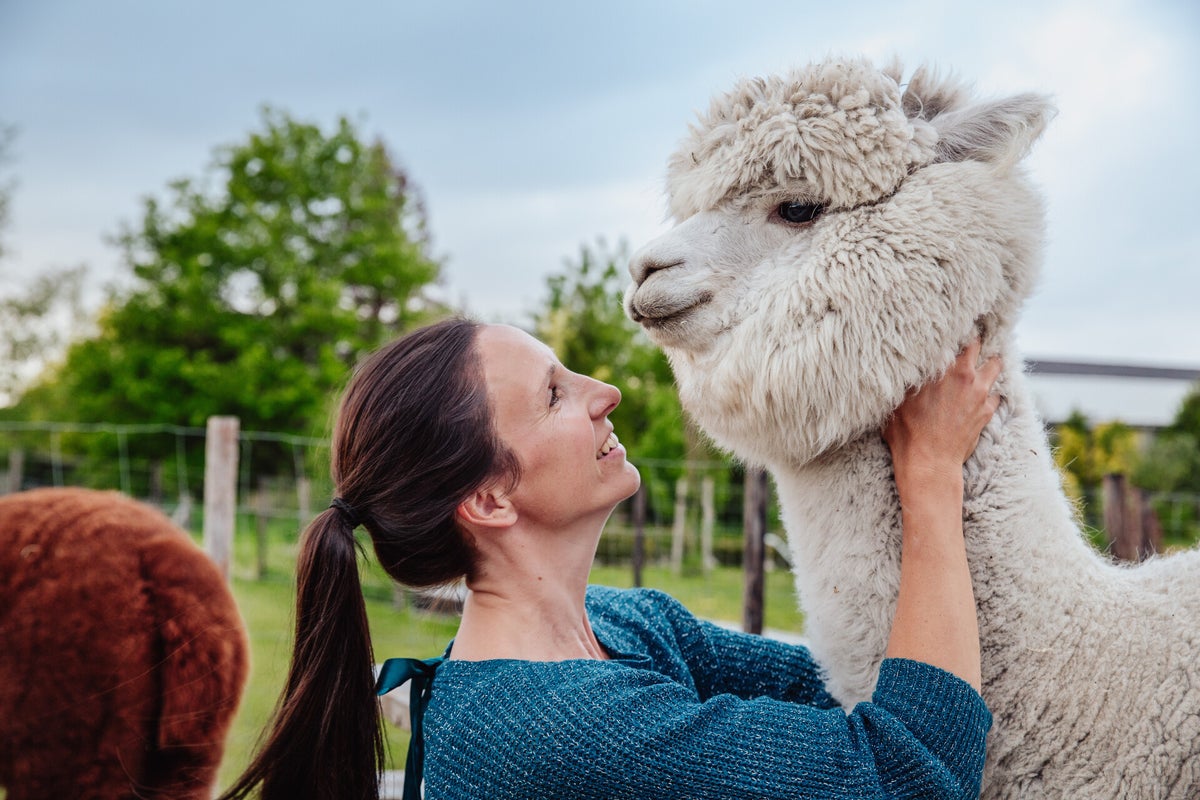Nieuws | AlpaCasa.nl