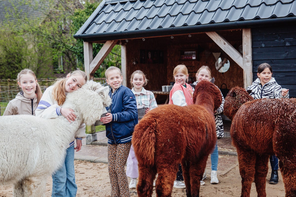 Activiteiten | AlpaCasa.nl