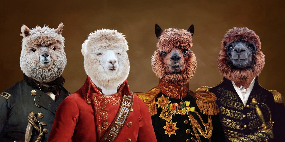 Actie: Doe je mee met de loterij? / Nieuws | AlpaCasa.nl