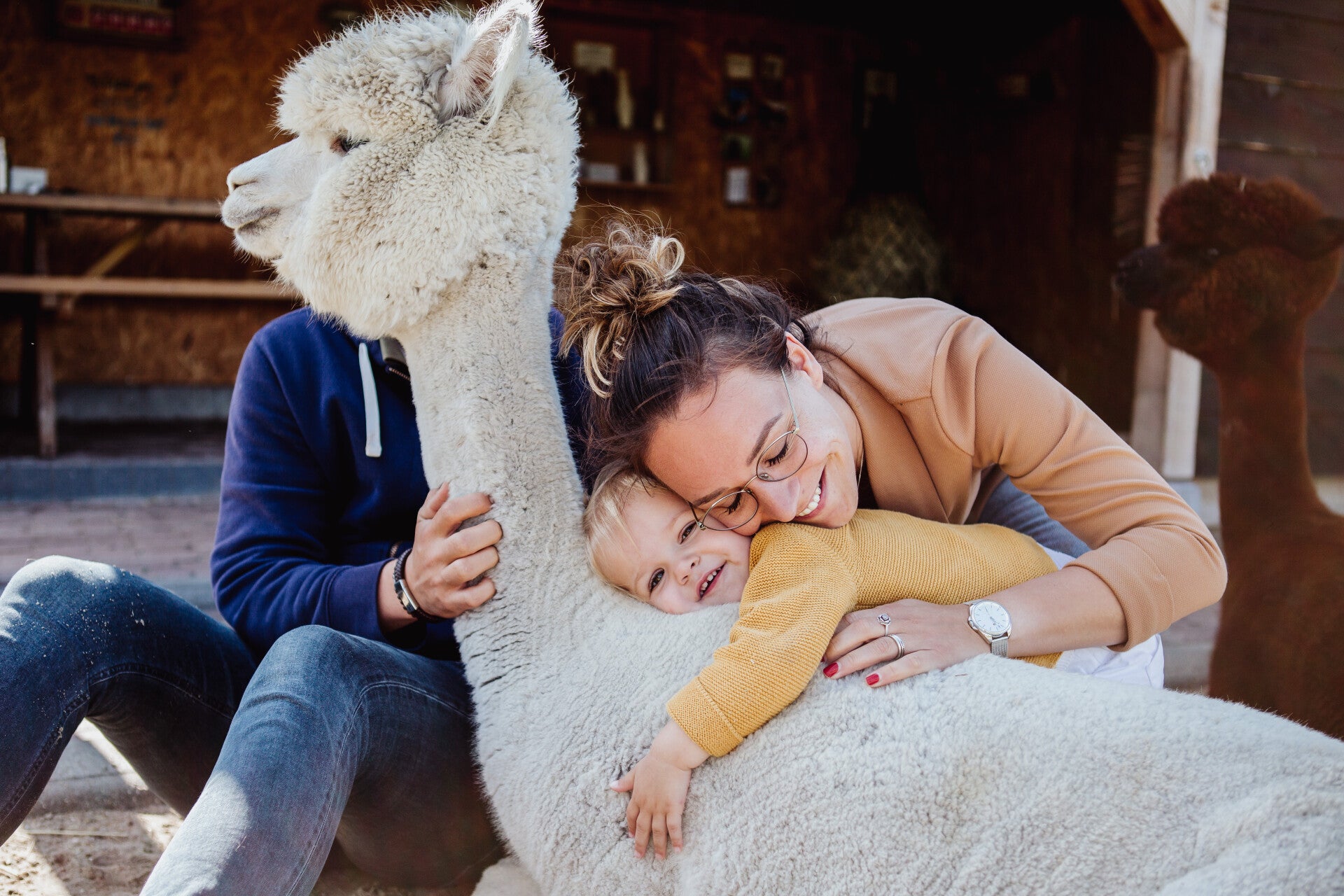 Foto- of weddingshoot tussen de alpaca's?