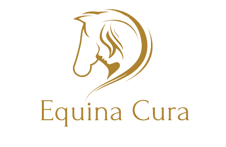 Home | Equina Cura | Paardenrevalidatie