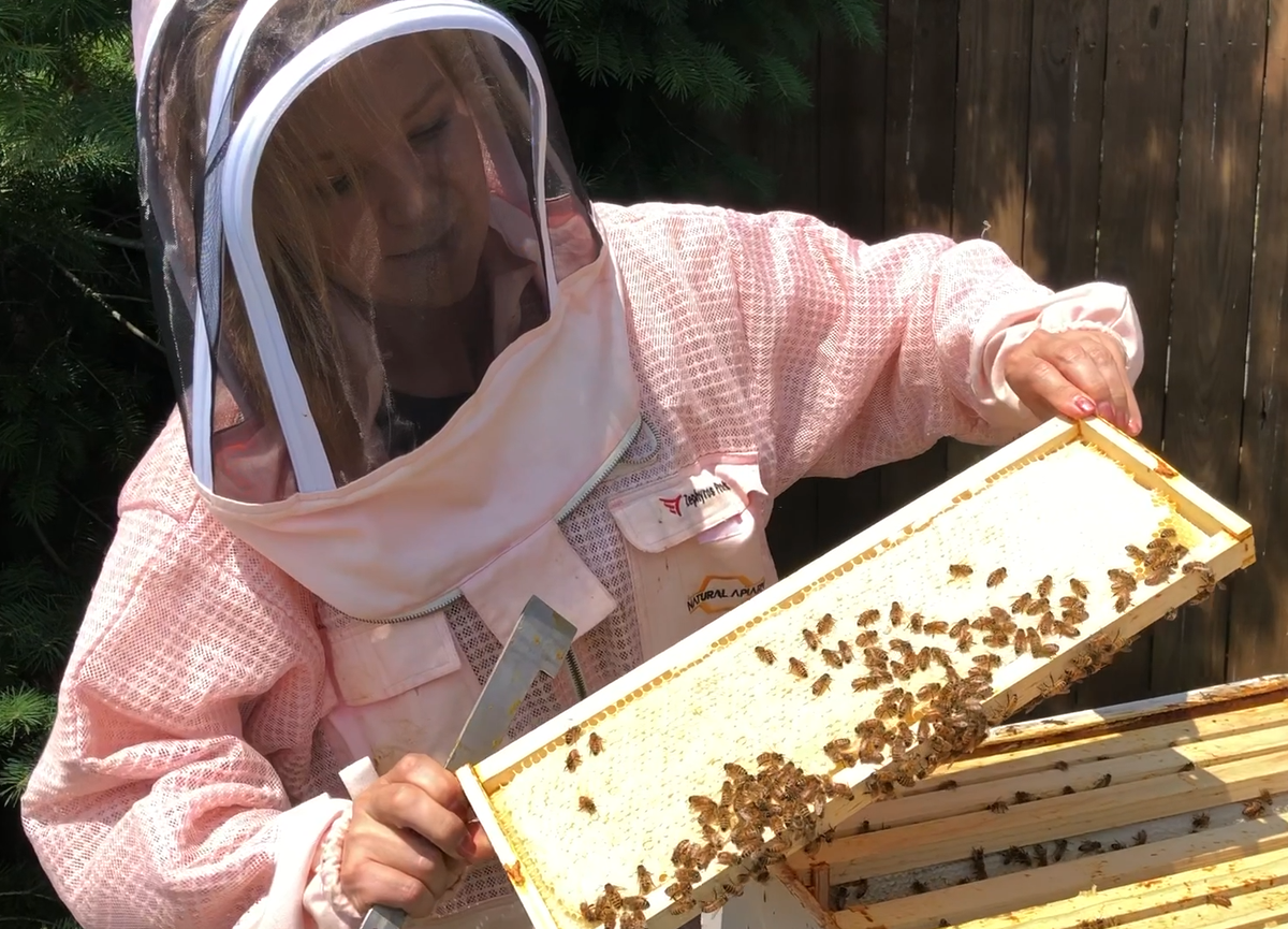 About | cherry lane farm