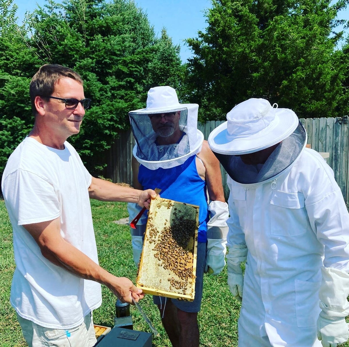 Honey Bees | cherry lane farm