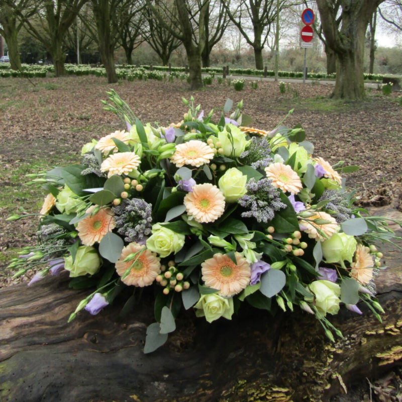 Madelief Monster ~ Rouwbloemist Westland