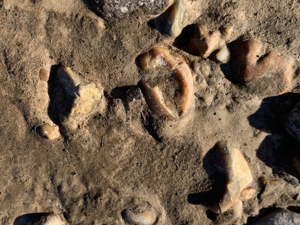 Rock Tumbling Tutorial | Earthly Tumbles